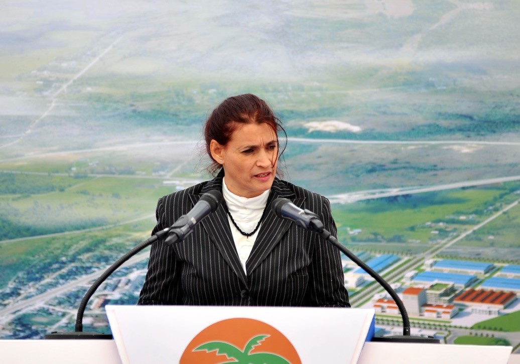 Groundbreaking ceremony of Vimariel Economic Zone in Mariel Special ...